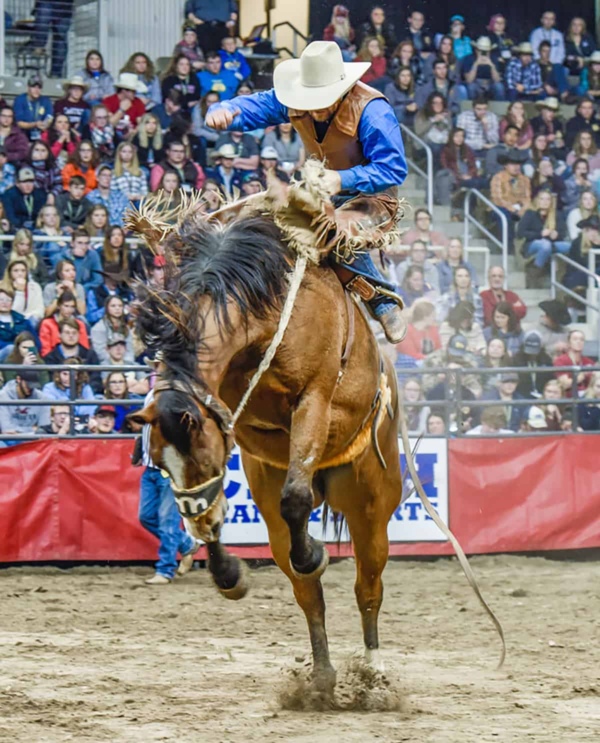 Entertainment - 95th National FFA Convention & Expo